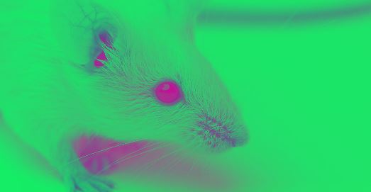 Gene Therapy Restores Vision in Blind Mice - Creating Future Us